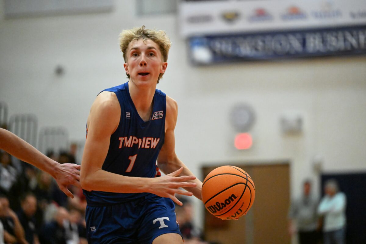 Boys Basketball: Young Timpview squad wins close one at Springville ...